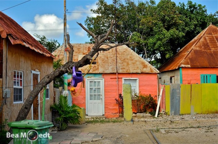 849. Photographer Bea Moedt | 1000 Awesome Things About Curaçao