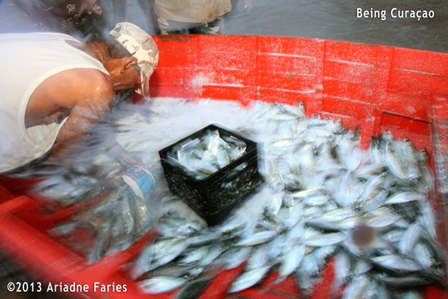 655. Curaçao Authenticity (Part 2) | 1000 Awesome Things About Curaçao